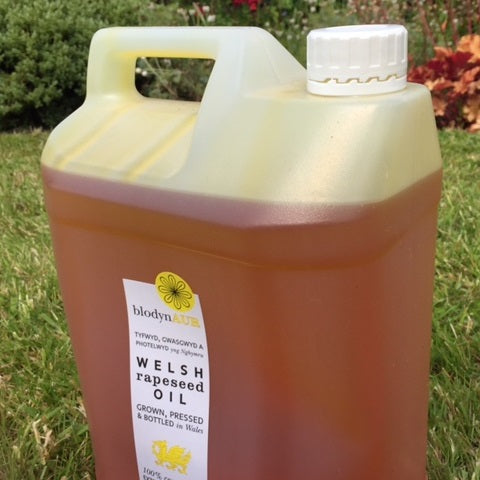 Blodyn Aur Welsh Rapeseed Oil 5L | The Welsh Choice for Oil – Jones o Gymru